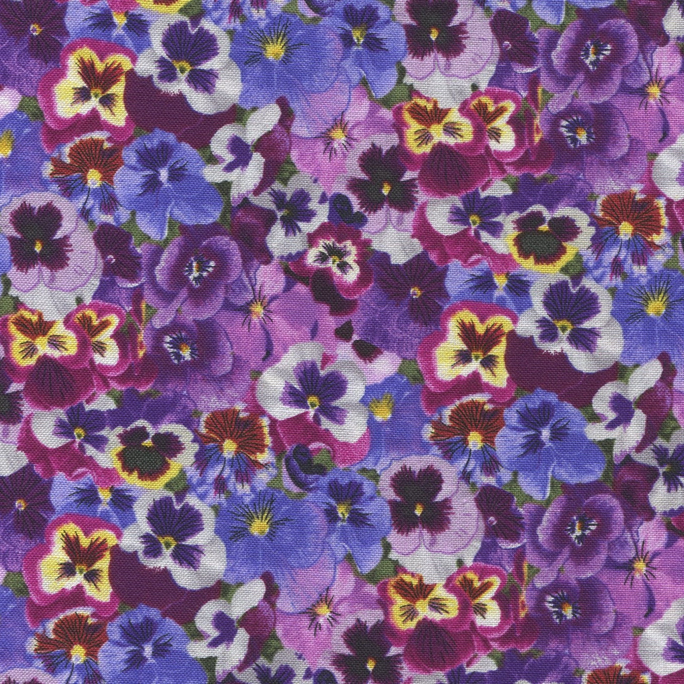 561-PURPLE - Mosters Stoffer