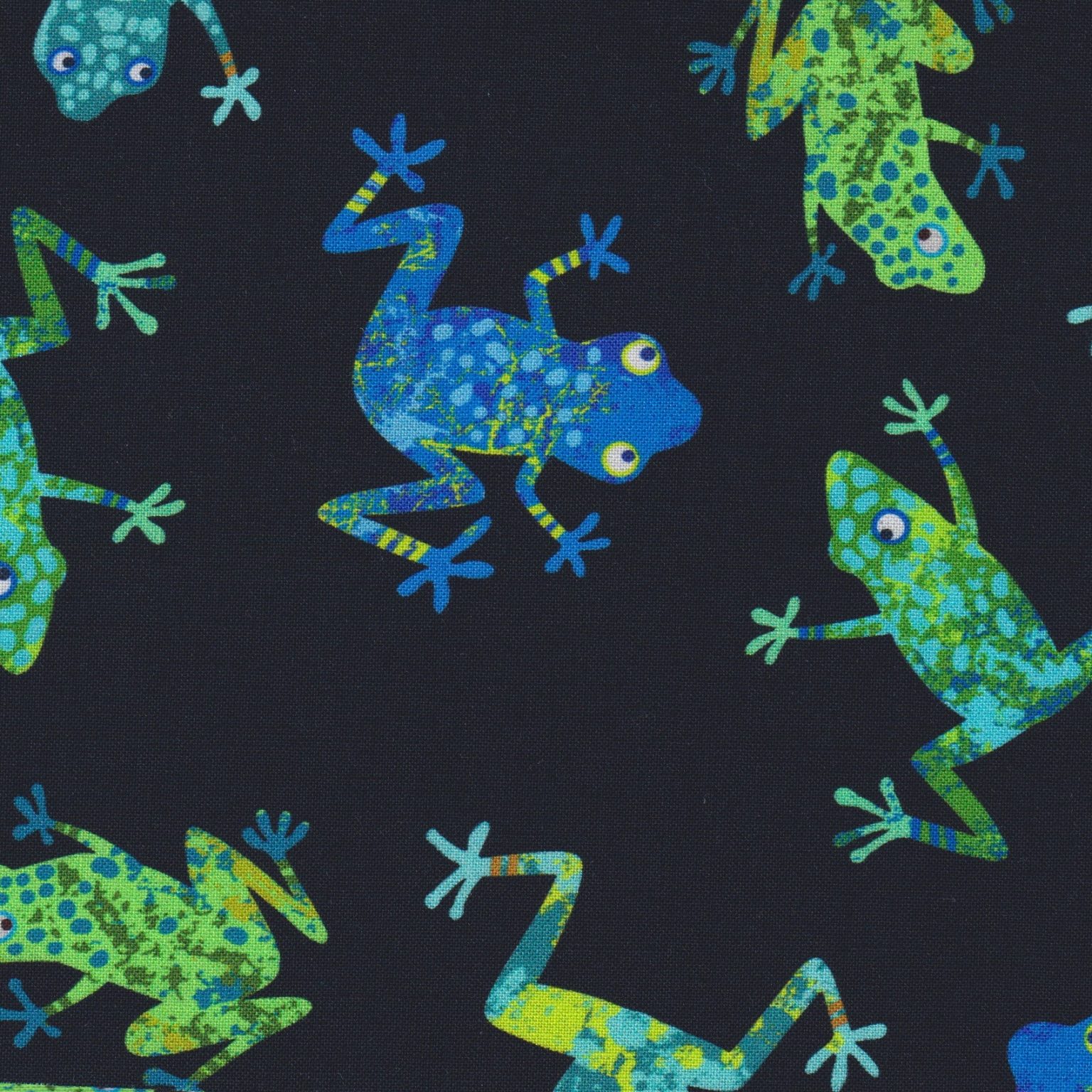 CD2179 - FROG - Mosters Stoffer